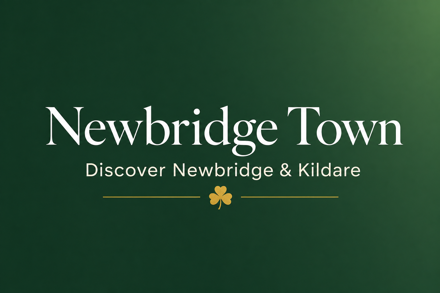 Kildare Derby Festival — Newbridge Town
